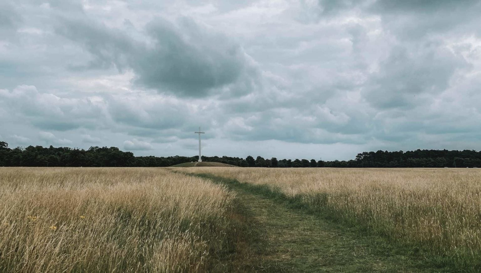 18 Best things to do in Phoenix Park in beautiful Dublin, Ireland
