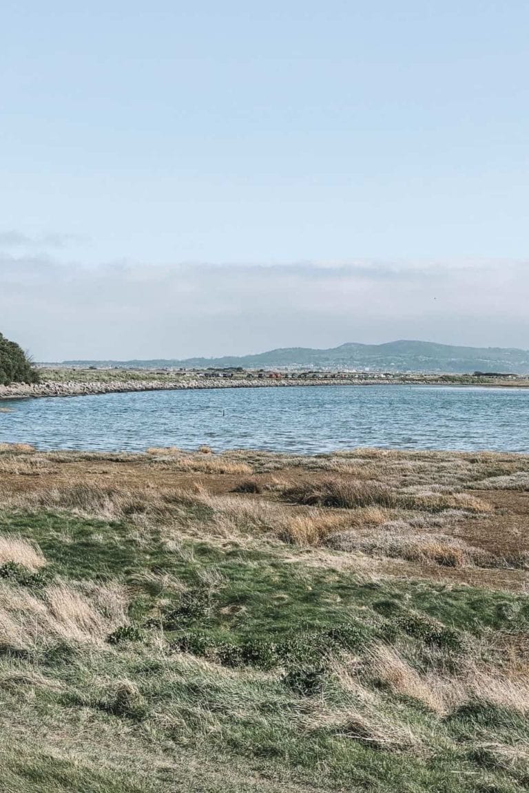 Bull Island Dublin: A Beautiful Nature Reserve you'll love!