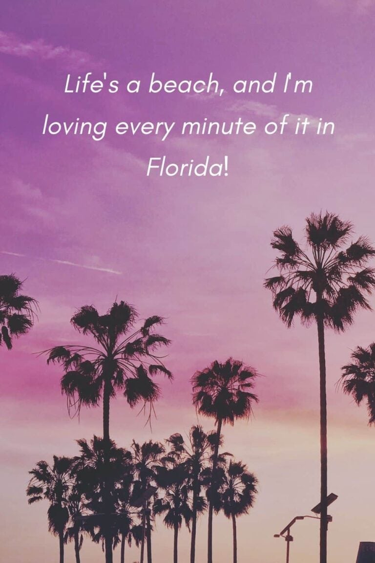 526 Florida Captions and Quotes That You'll Love