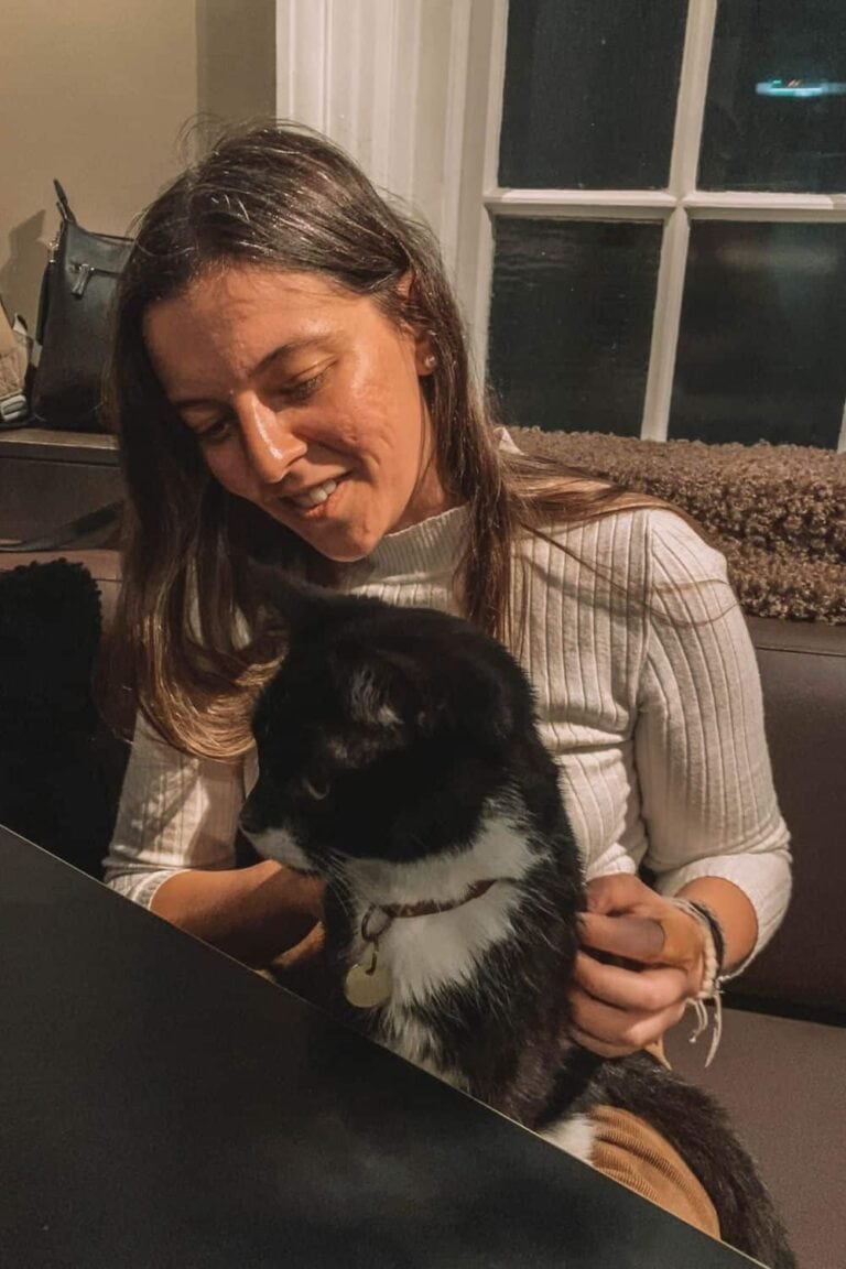 10 Cat Cafes in London and near London that Your Partner Will Love