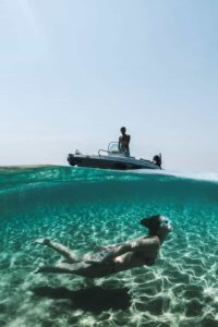 Are There Sharks in Greece? Yes! And Here's What You Need to Know For ...