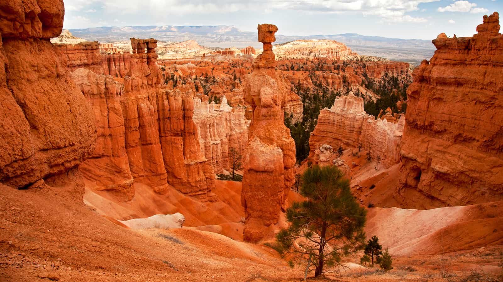 10 Places To See In Bryce Canyon During Spring