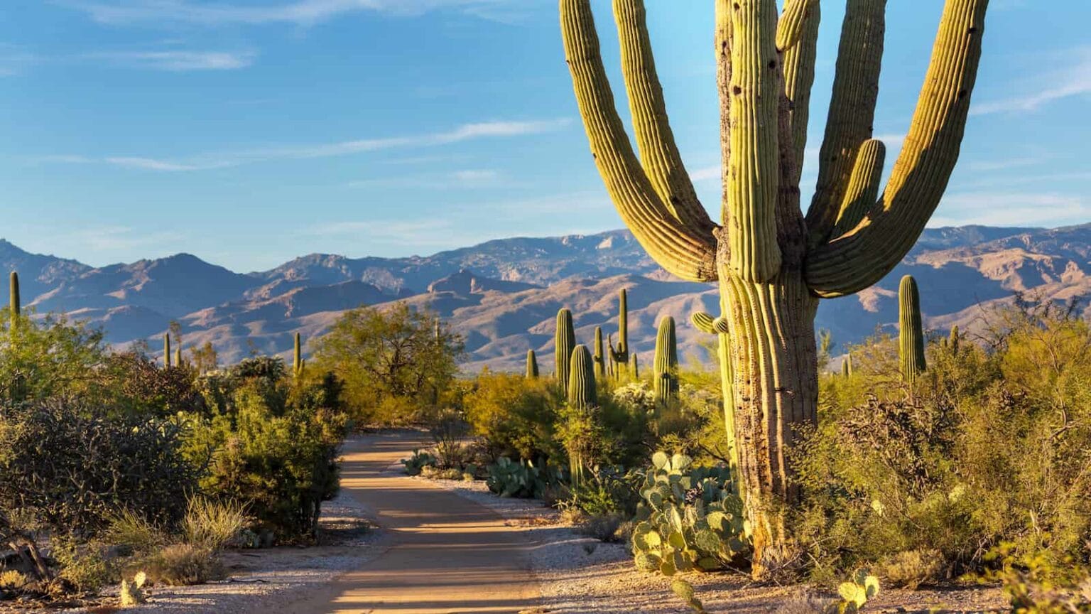 10 U.S. Desert Destinations That Will Surprise You