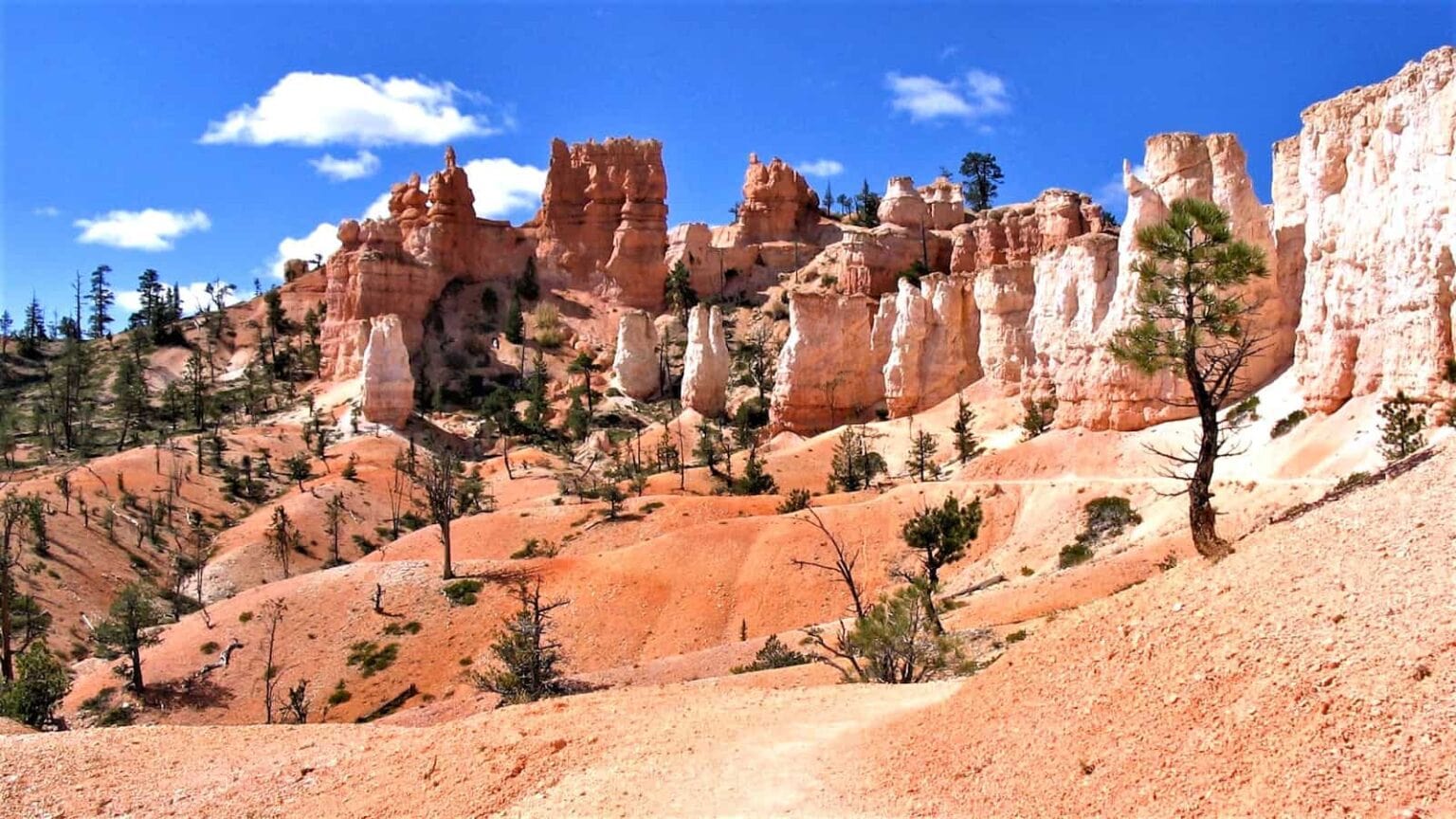 10 Places To See In Bryce Canyon During Spring