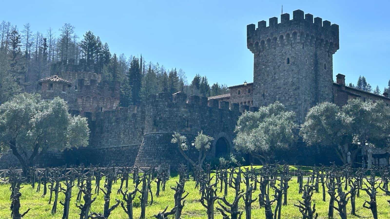 Top 10 Must-Visit Cities in California And Why