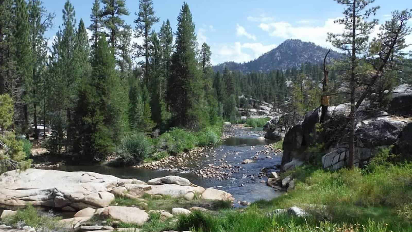 10 U.S. Forests That Are Way Underrated