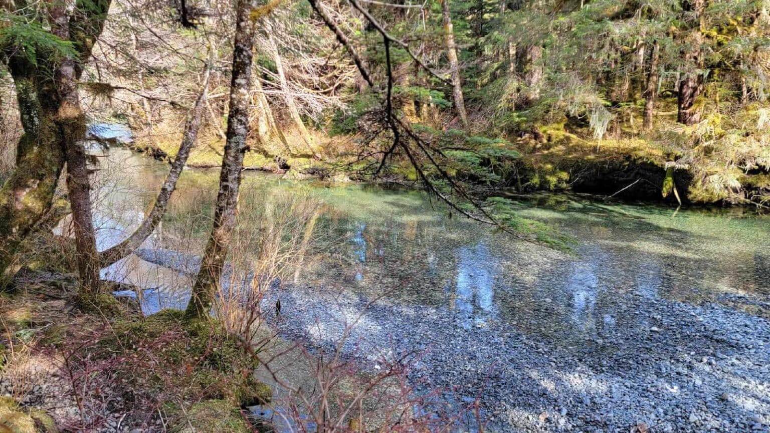 10 U.S. Forests That Are Way Underrated