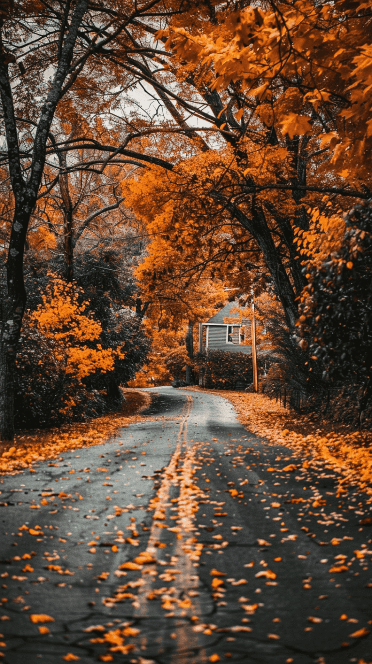 40+ Stunning And Dreamy Fall Phone Wallpapers