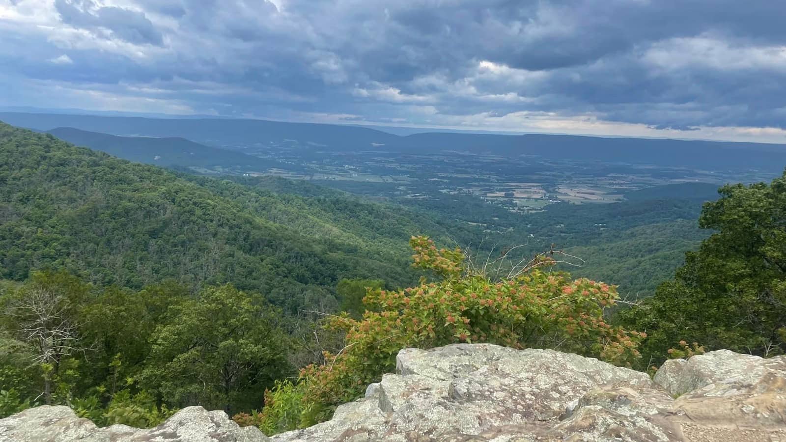 10 Famous U.S. Roads That Are Worth the Drive