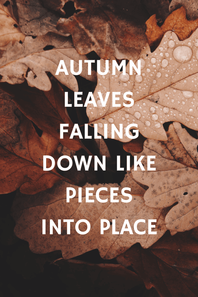 22 Taylor Swift Lyrics About Fall