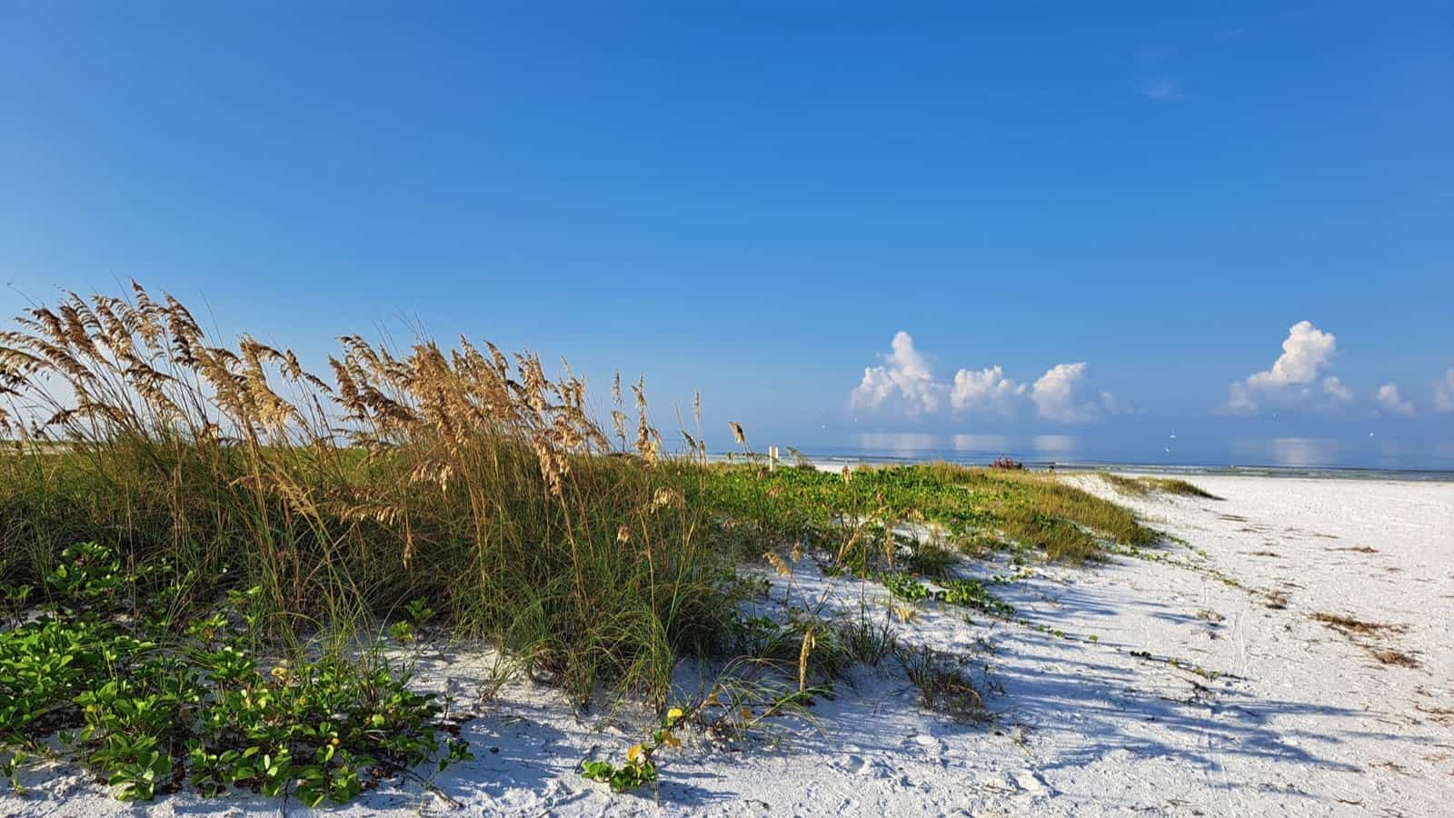 12 Picture-Perfect U.S. Beaches You’ll Want to Visit Right Now